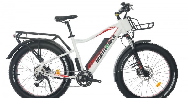 The basics: structure and functionalities of the E-bike
